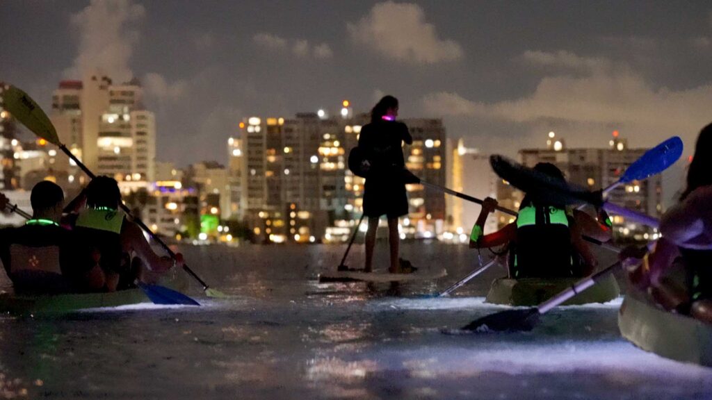 LED Night Kayak - SALTours