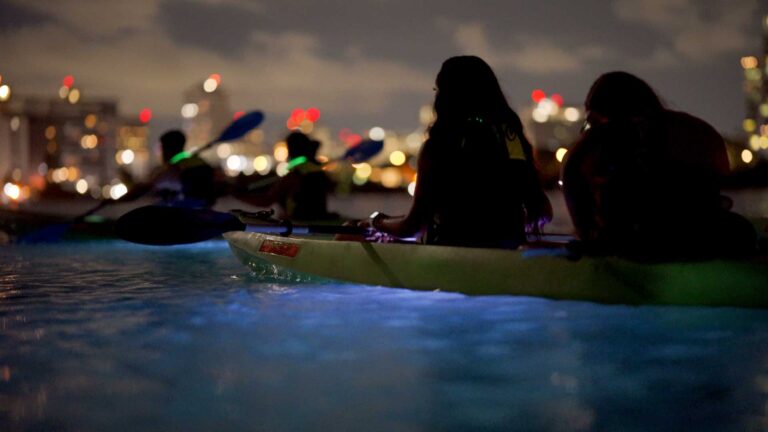 LED Night Kayak - SALTours