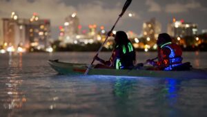 LED Night Kayak - SALTours