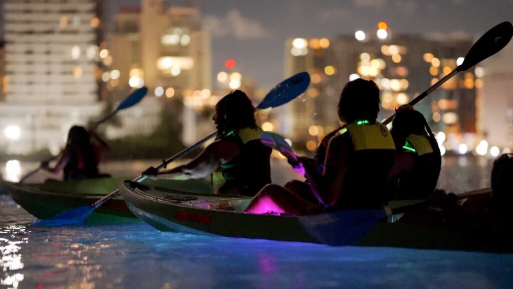 LED Night Kayak - SALTours