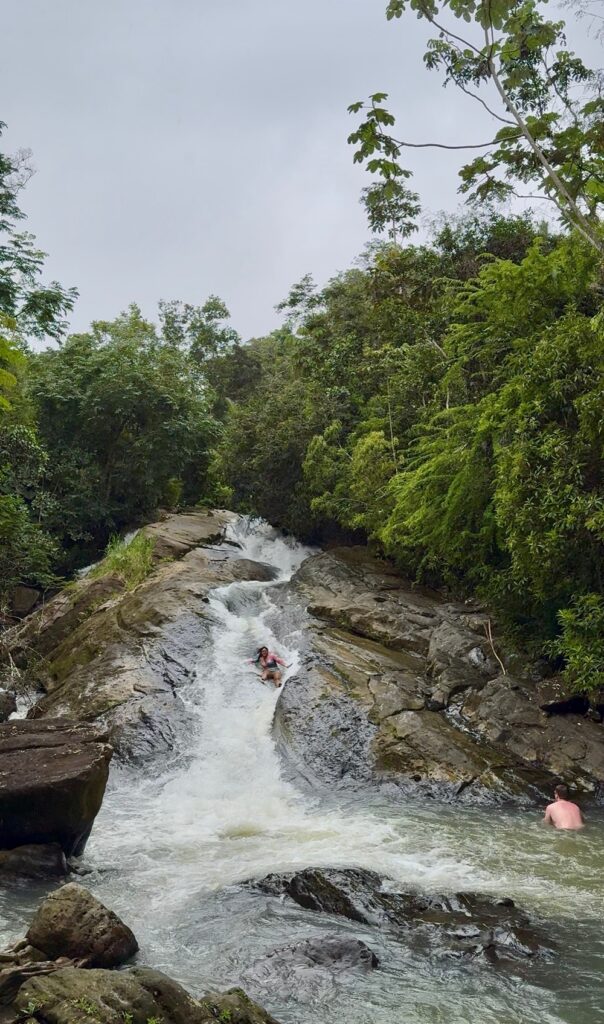 El Conquistador Resort Rainforest River Slide Half Day Tour - SALTours
